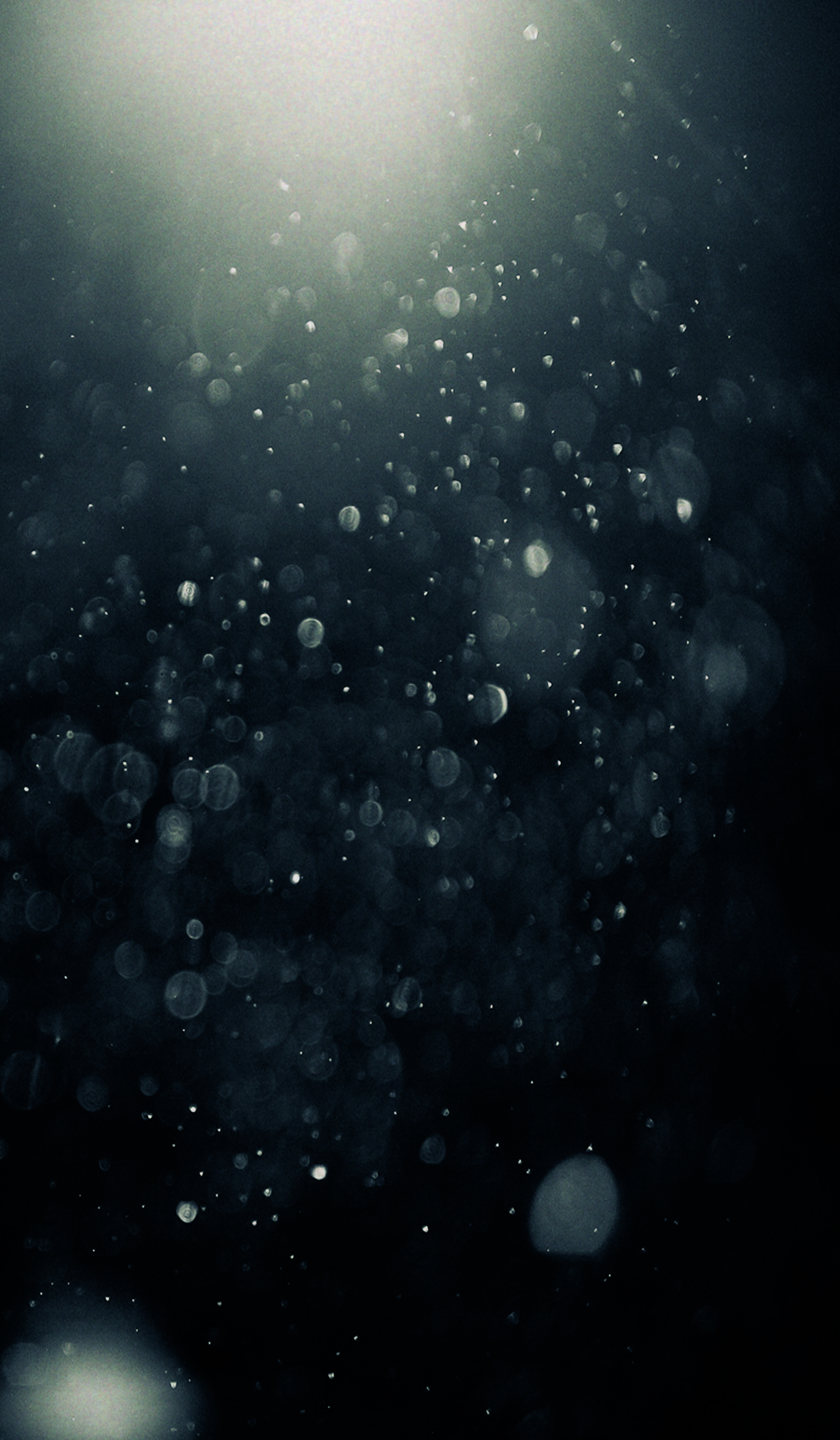 background1 – Monster Movie