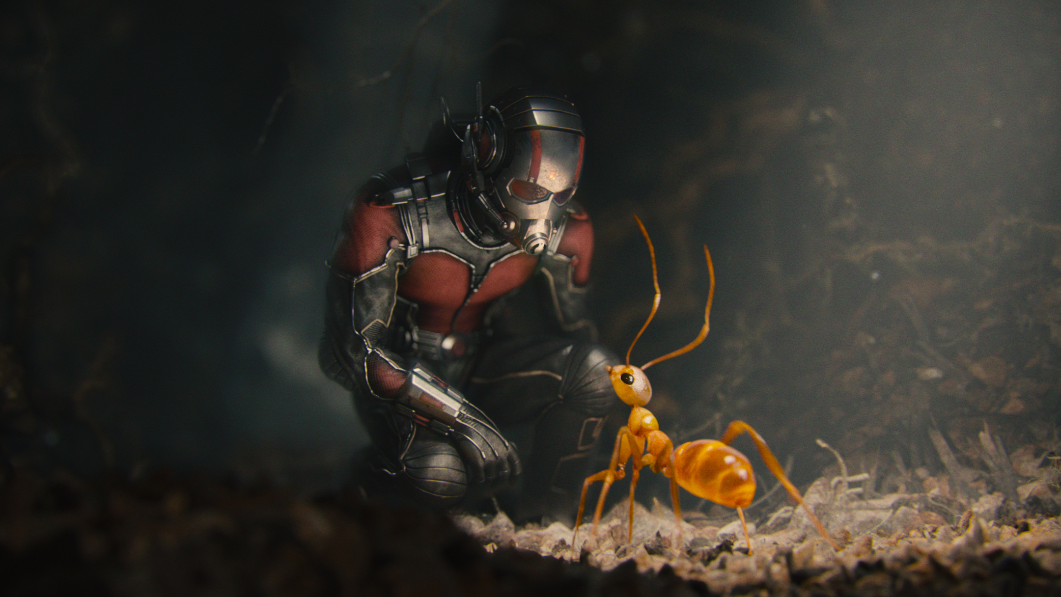 ant-man – Monster Movie